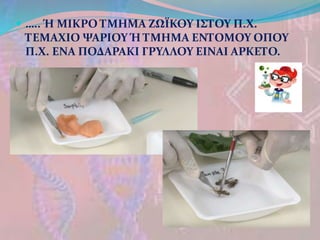 ΑΠΟΜΟΝΩΣΗ DNA-ΠΩΣ ΚΑΙ ΓΙΑΤΙ | PPTX