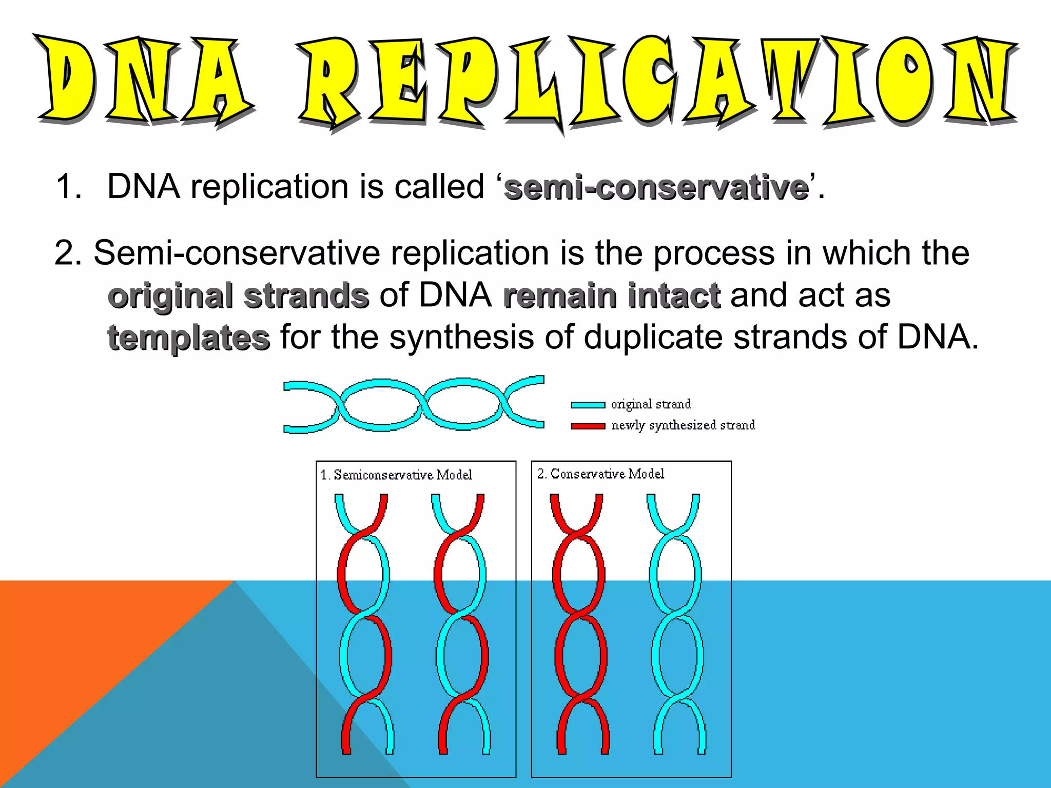 Dna 9th grade | PPT