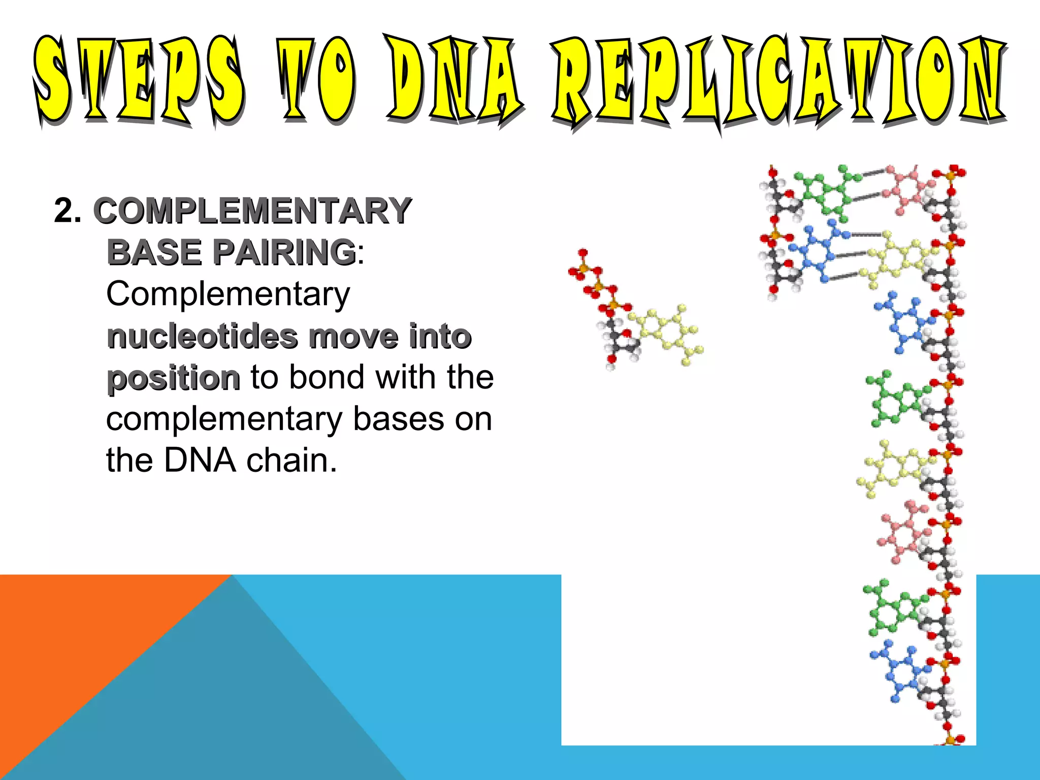 Dna 9th grade | PPT