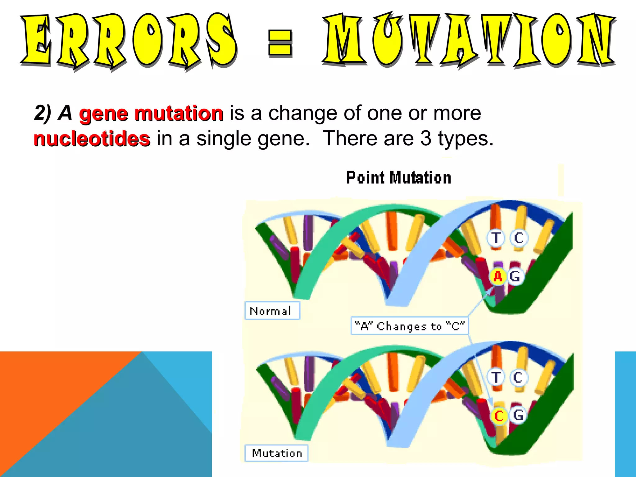 Dna 9th grade | PPT
