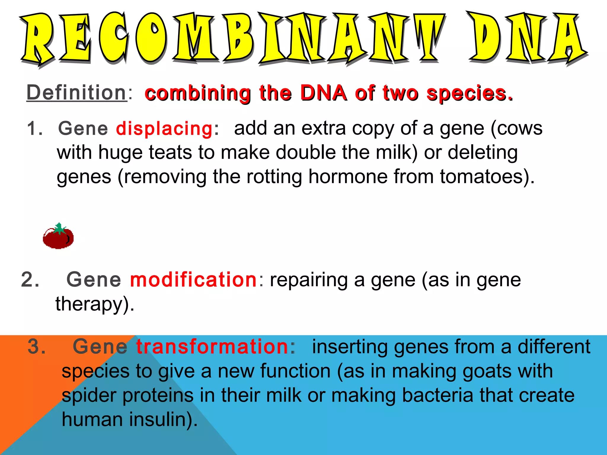 Dna 9th grade | PPT