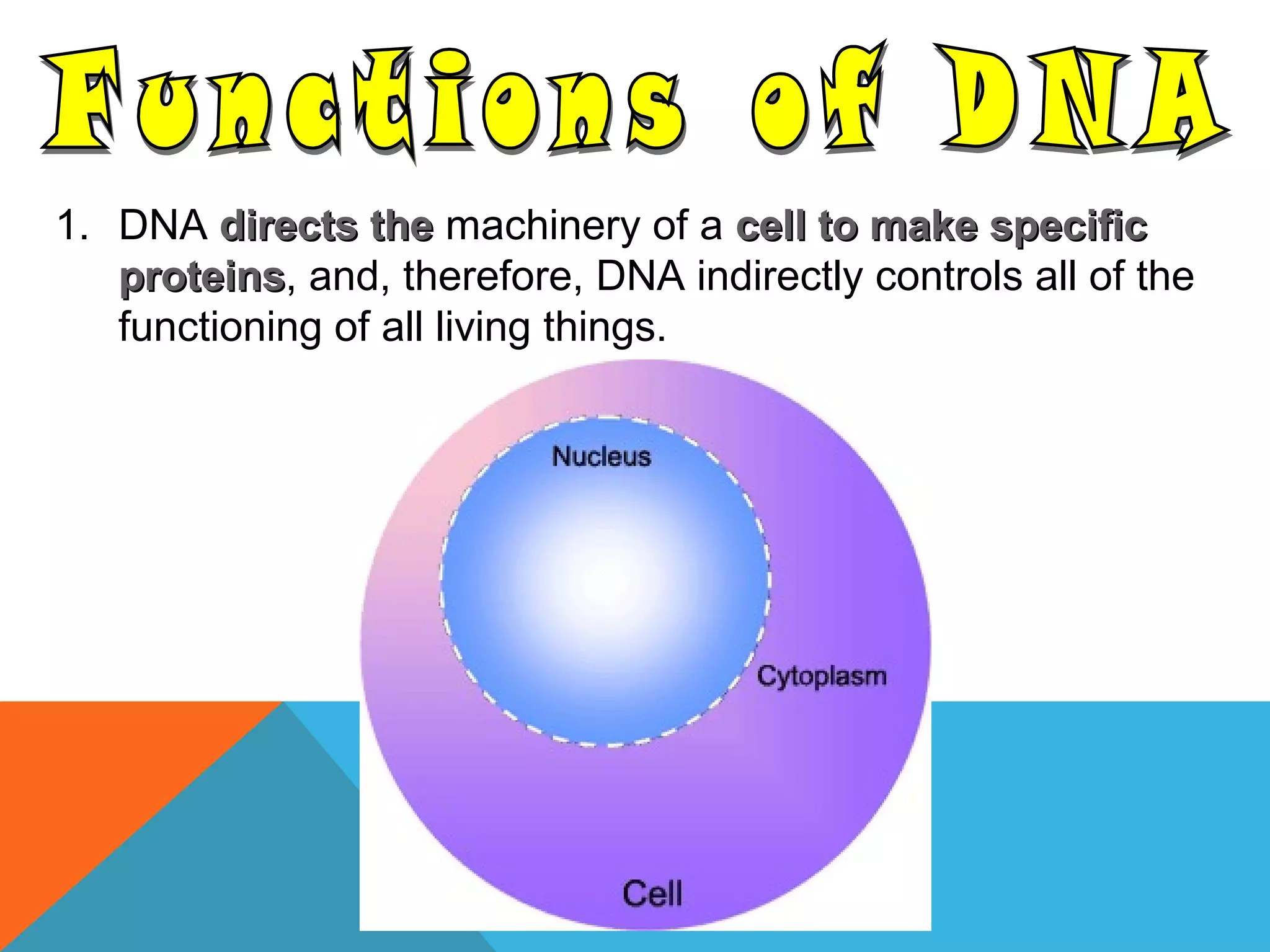 Dna 9th grade | PPT