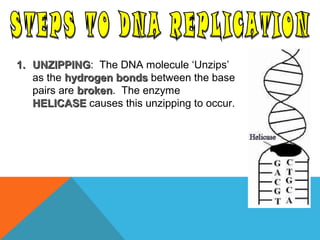 Dna 9th grade | PPT