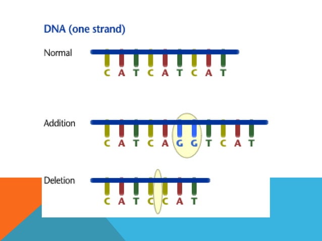 Dna 9th grade | PPT | Infertility | Reproductive Health