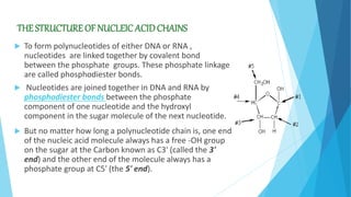 DNA | PPT
