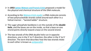 DNA | PPT