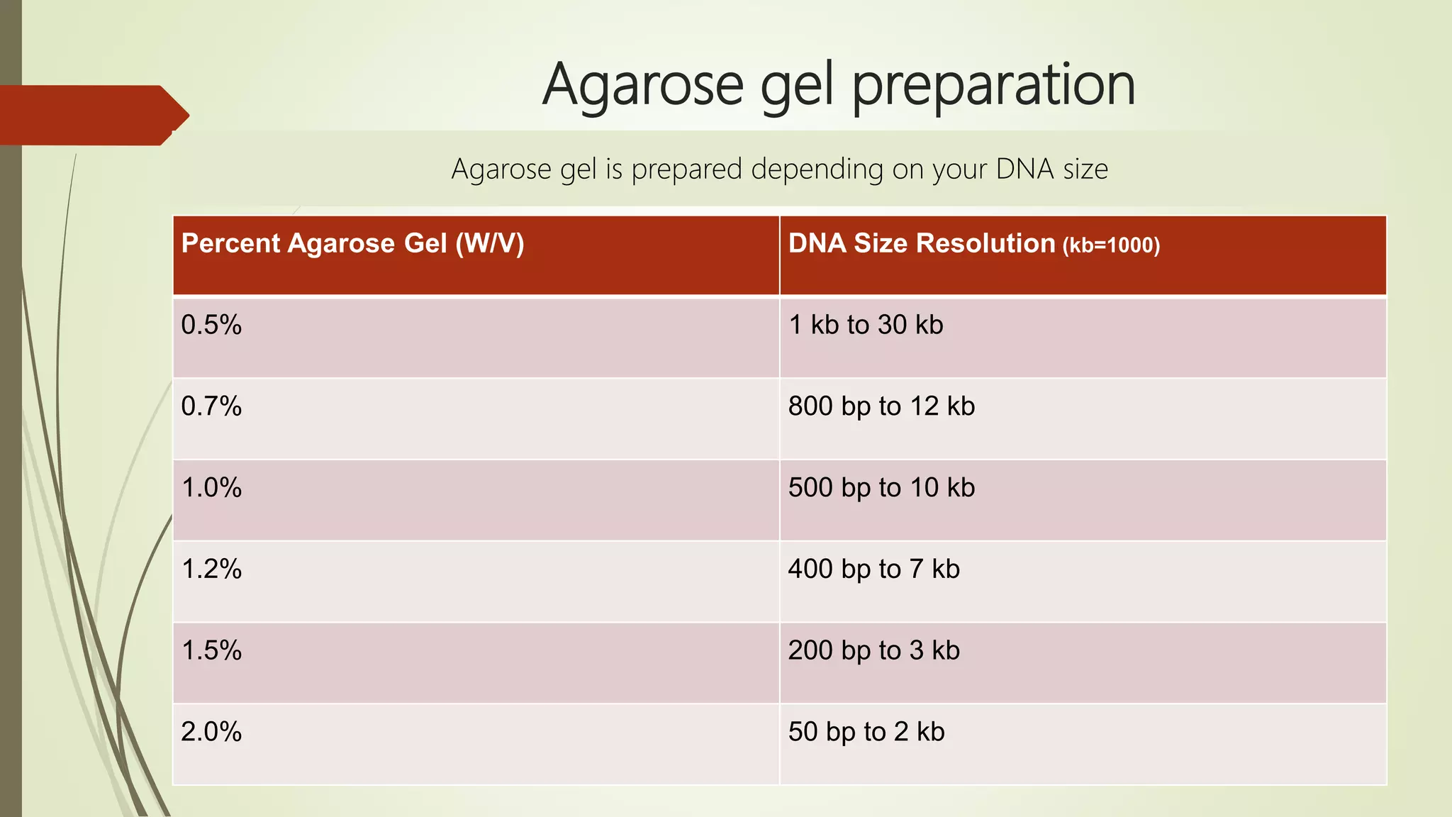 DNA agarose gel electrophoresis | PPTX