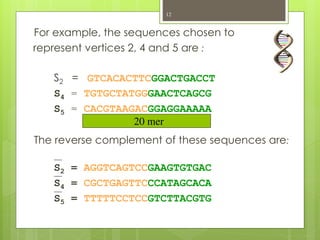 Dna algorithm ppt | PPT