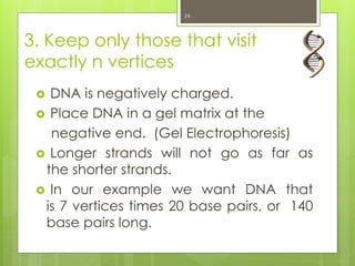 Dna algorithm ppt | PPT