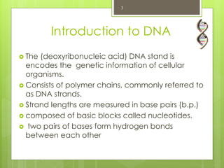 Dna algorithm ppt | PPT