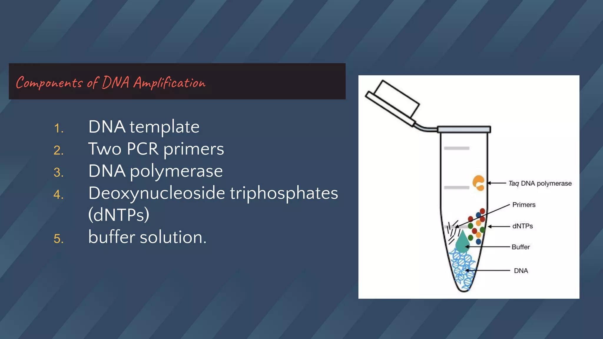 DNA AMPLIFICATION-theory.pptx.pdf