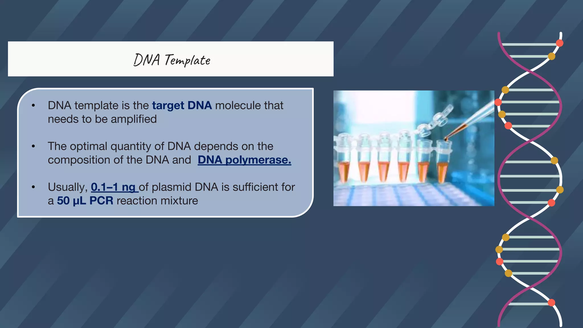DNA AMPLIFICATION-theory.pptx.pdf