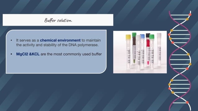 DNA AMPLIFICATION-theory.pptx.pdf