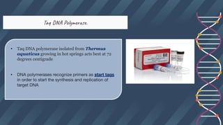 DNA AMPLIFICATION-theory.pptx.pdf