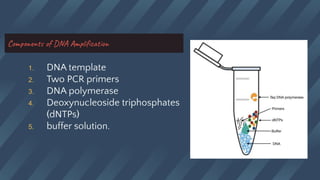 DNA AMPLIFICATION-theory.pptx.pdf