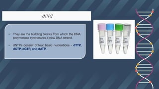 DNA AMPLIFICATION-theory.pptx.pdf