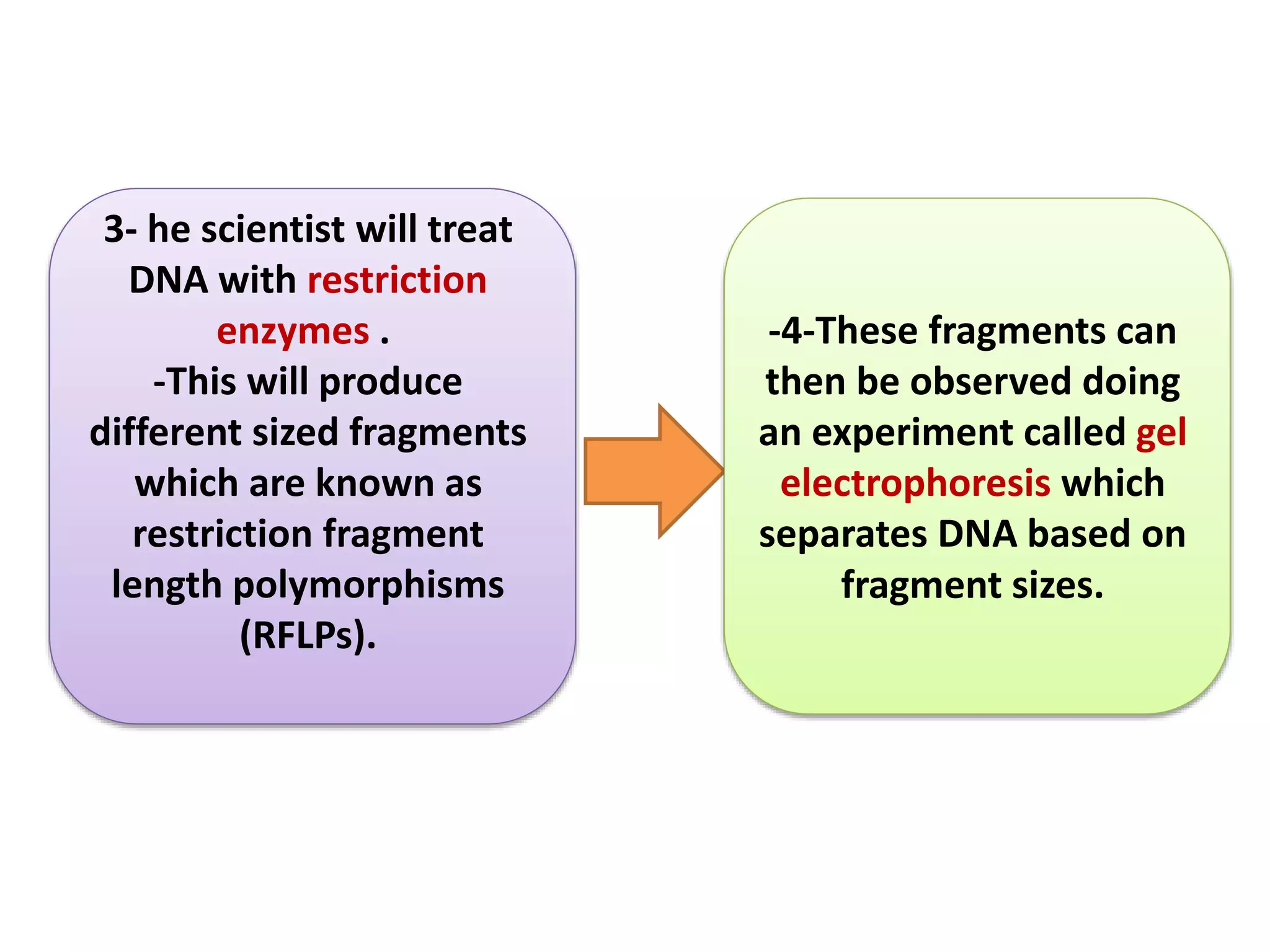 Dna analysis | PPT