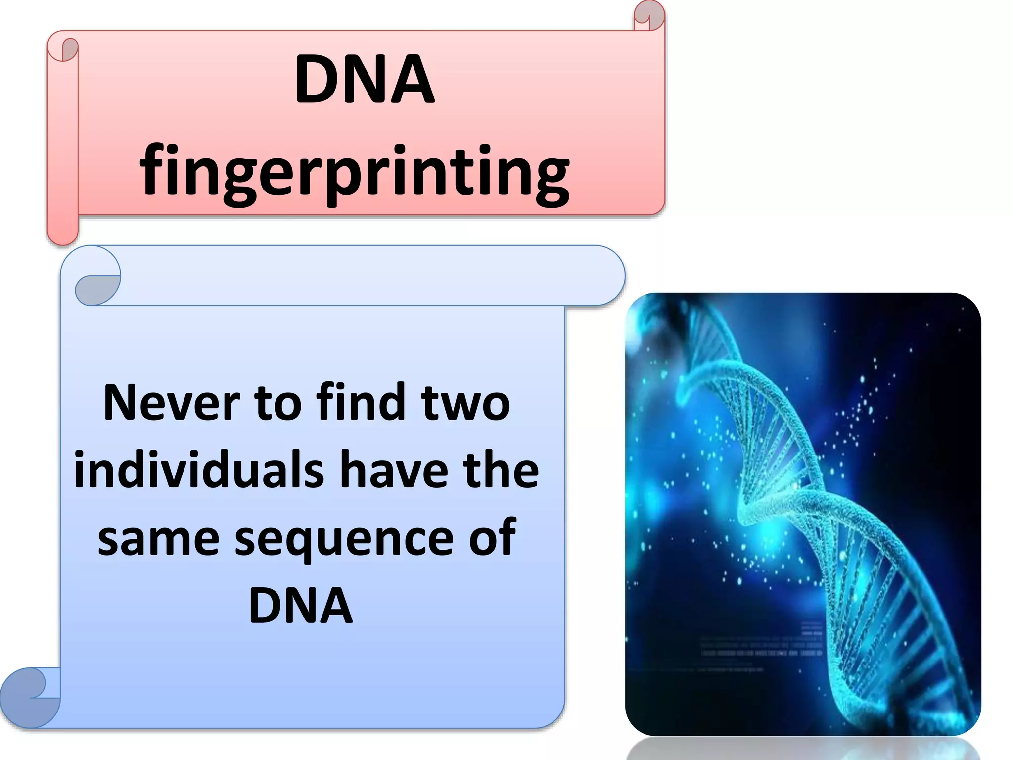 Dna analysis | PPT