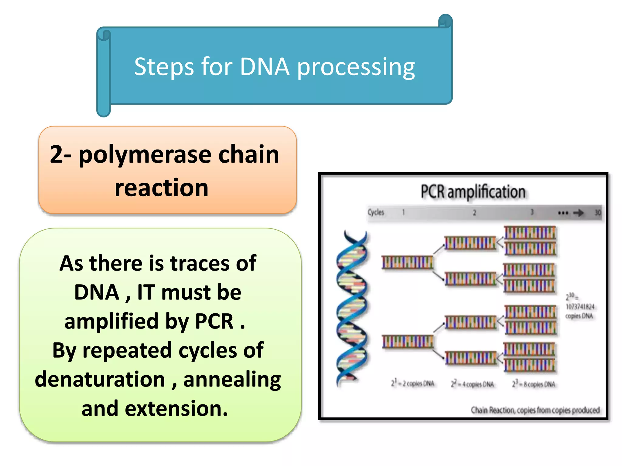 Dna analysis | PPT