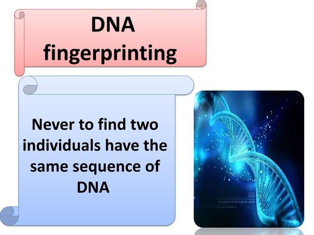 Dna analysis | PPT