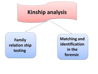 Dna analysis | PPTX