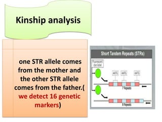 Dna analysis | PPT
