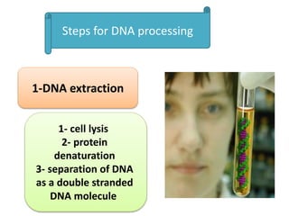 Dna analysis | PPT