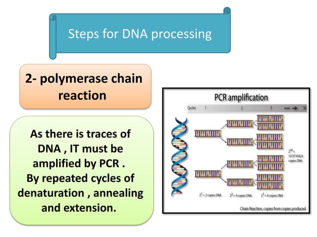 Dna analysis | PPT