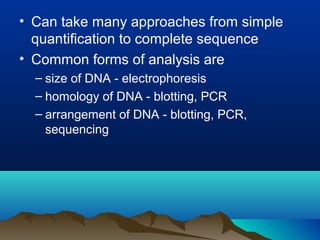 DNA analysis | PPT