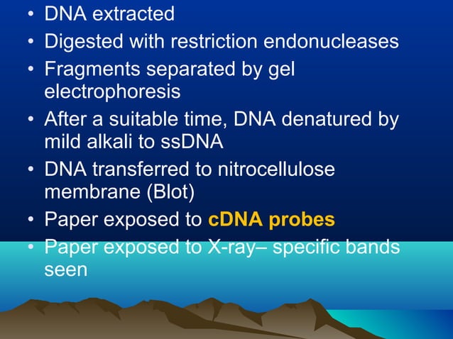 DNA analysis | PPT