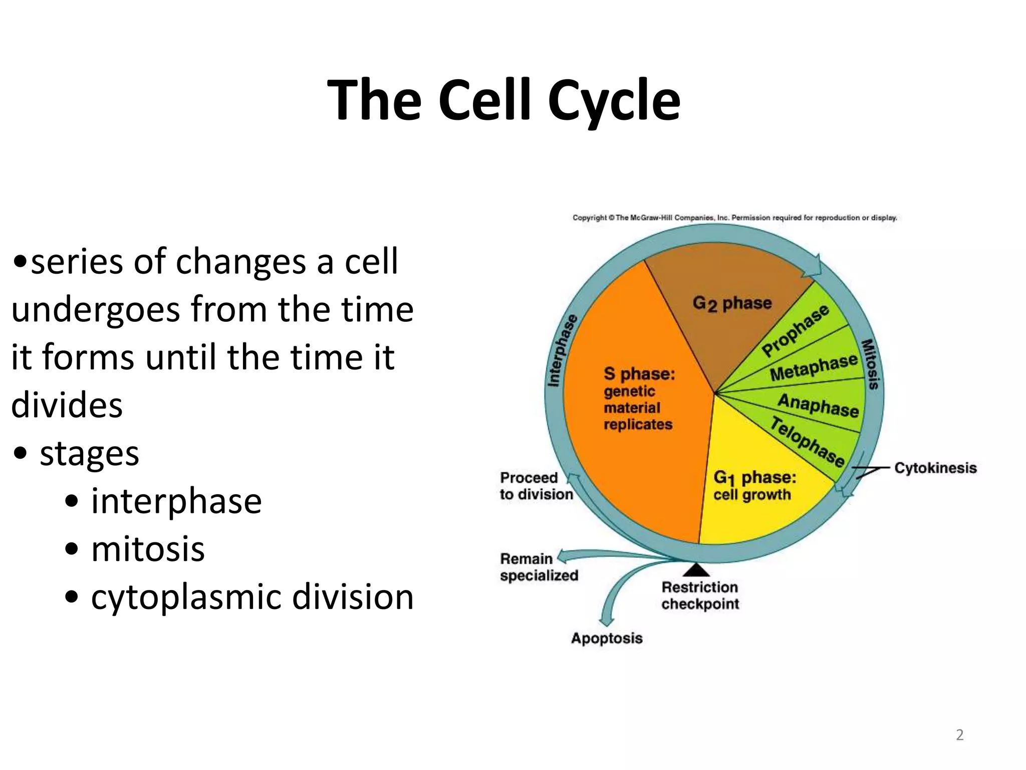 Dna and cell cycle | PPTX