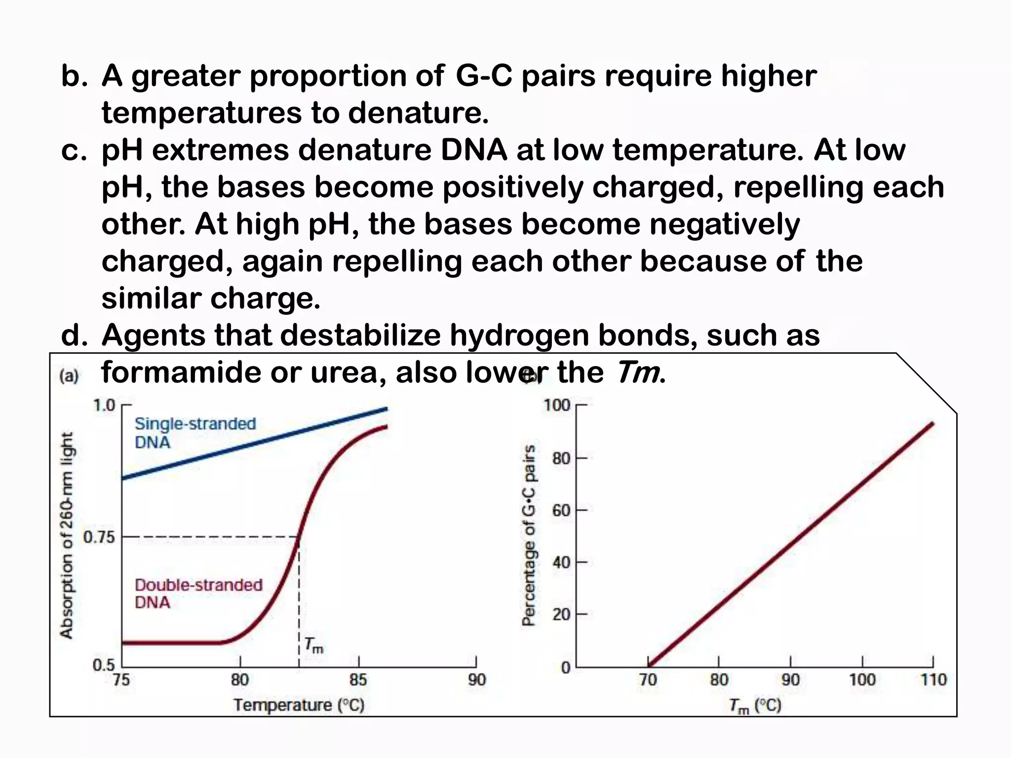 Dna and chromosomes | PPTX