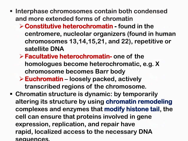 Dna and chromosomes | PPTX