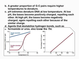 Dna and chromosomes | PPTX