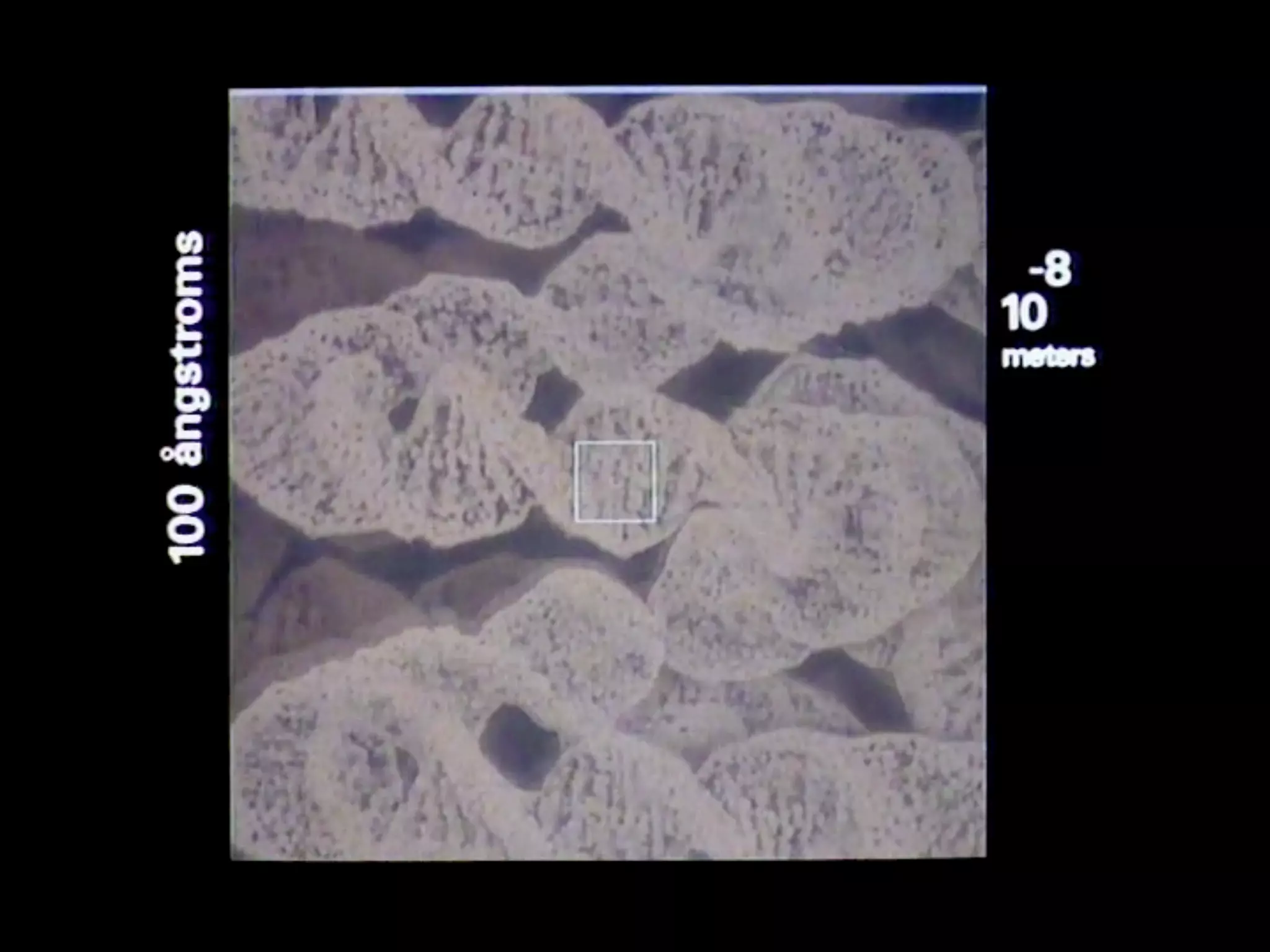 Dna and chromosome structure | PDF