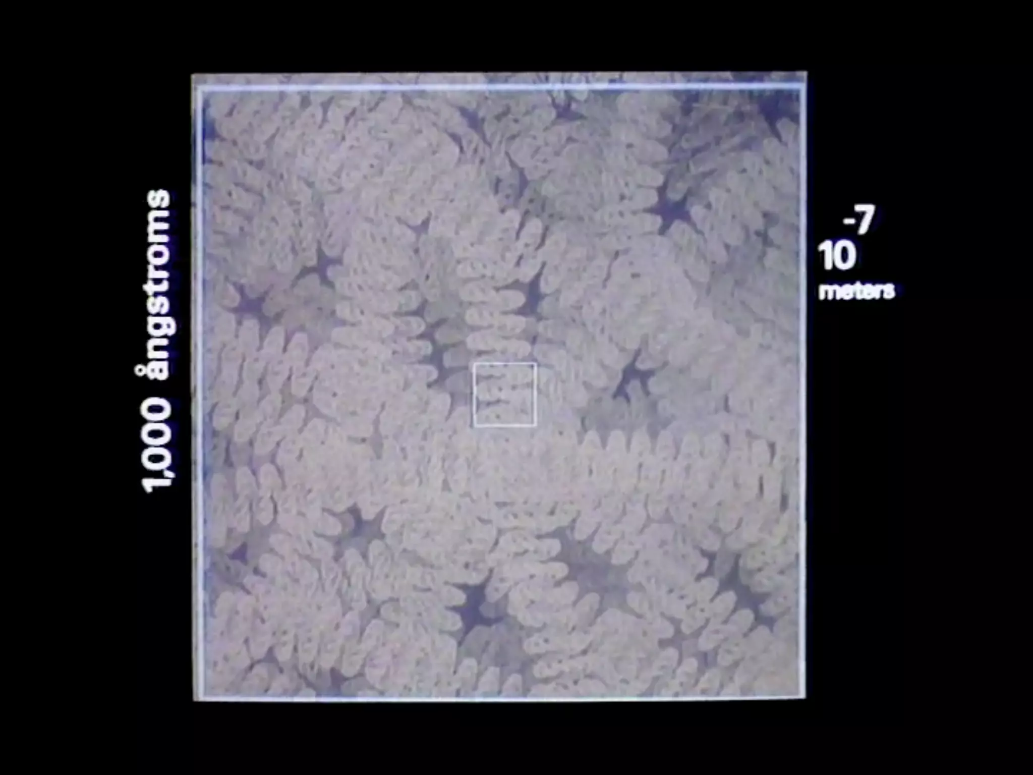 Dna and chromosome structure | PDF
