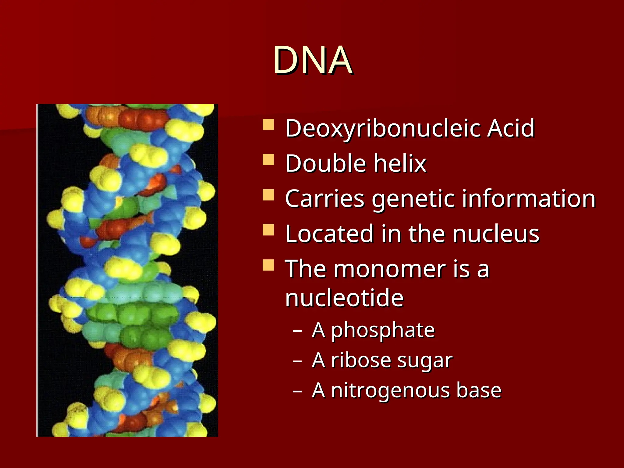 Power Point Presentation on DNA and Gene Expression.ppt