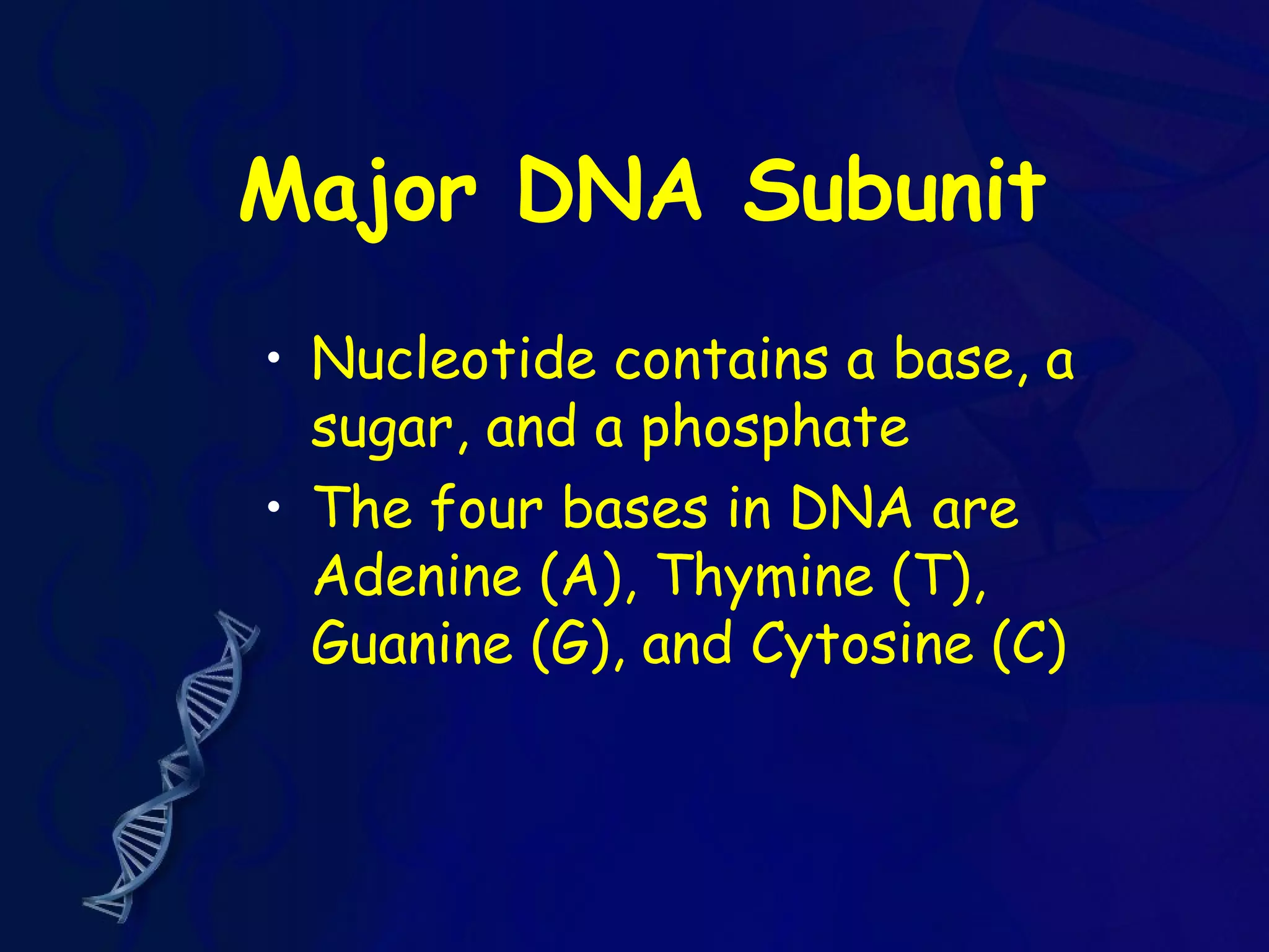 Dna and genetics_basic_power_point__1-14-11[1] | PPT