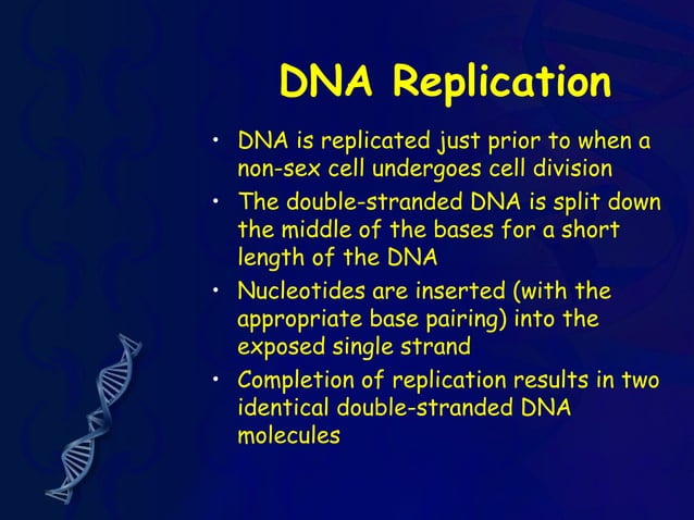 Dna and genetics_basic_power_point__1-14-11[1] | PPT