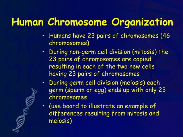 Dna and genetics_basic_power_point__1-14-11[1] | PPT