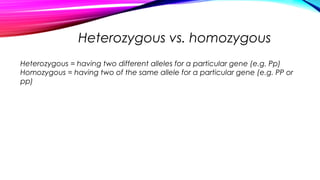 Dna and inheritance | ODP