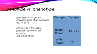 Dna and inheritance | ODP