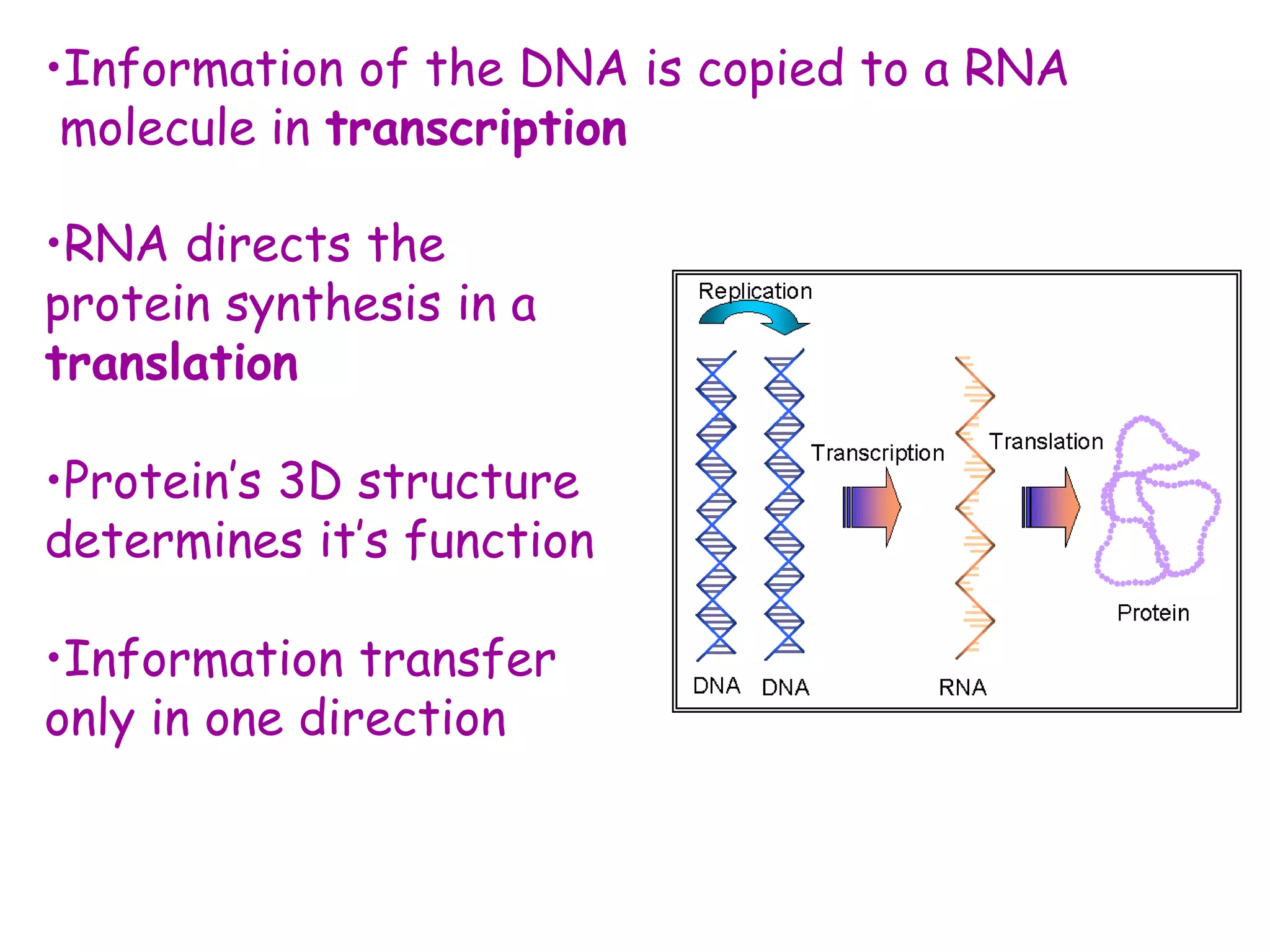 DNA_and_inheritance.ppt