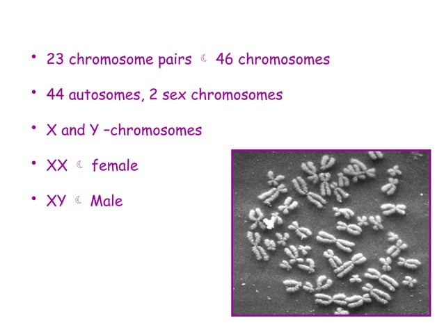 DNA_and_inheritance_on_basic_human_genes.pptx
