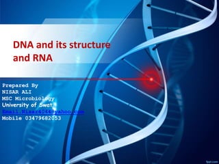 DNA and its structure and RNA | PPTX