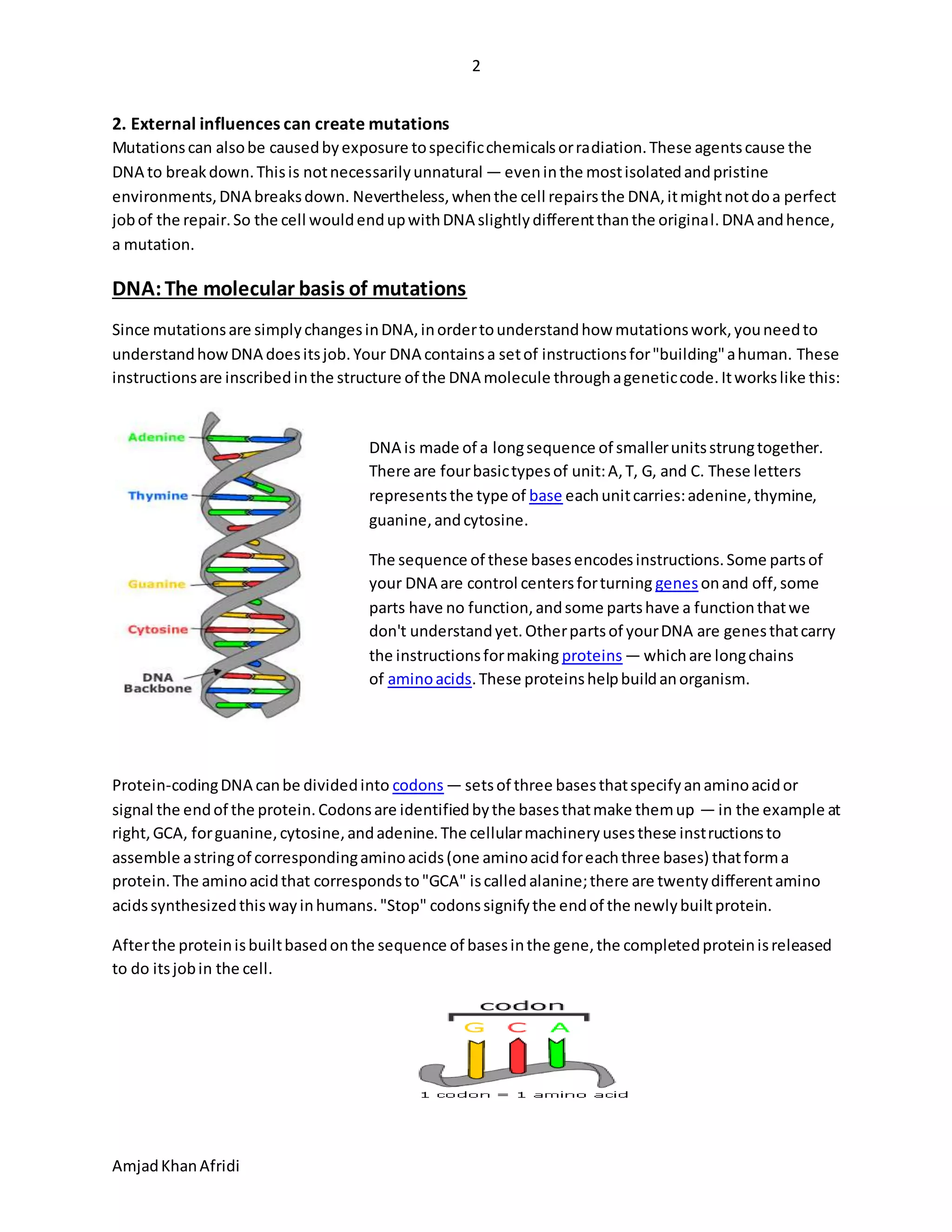 Dna and mutation | DOCX