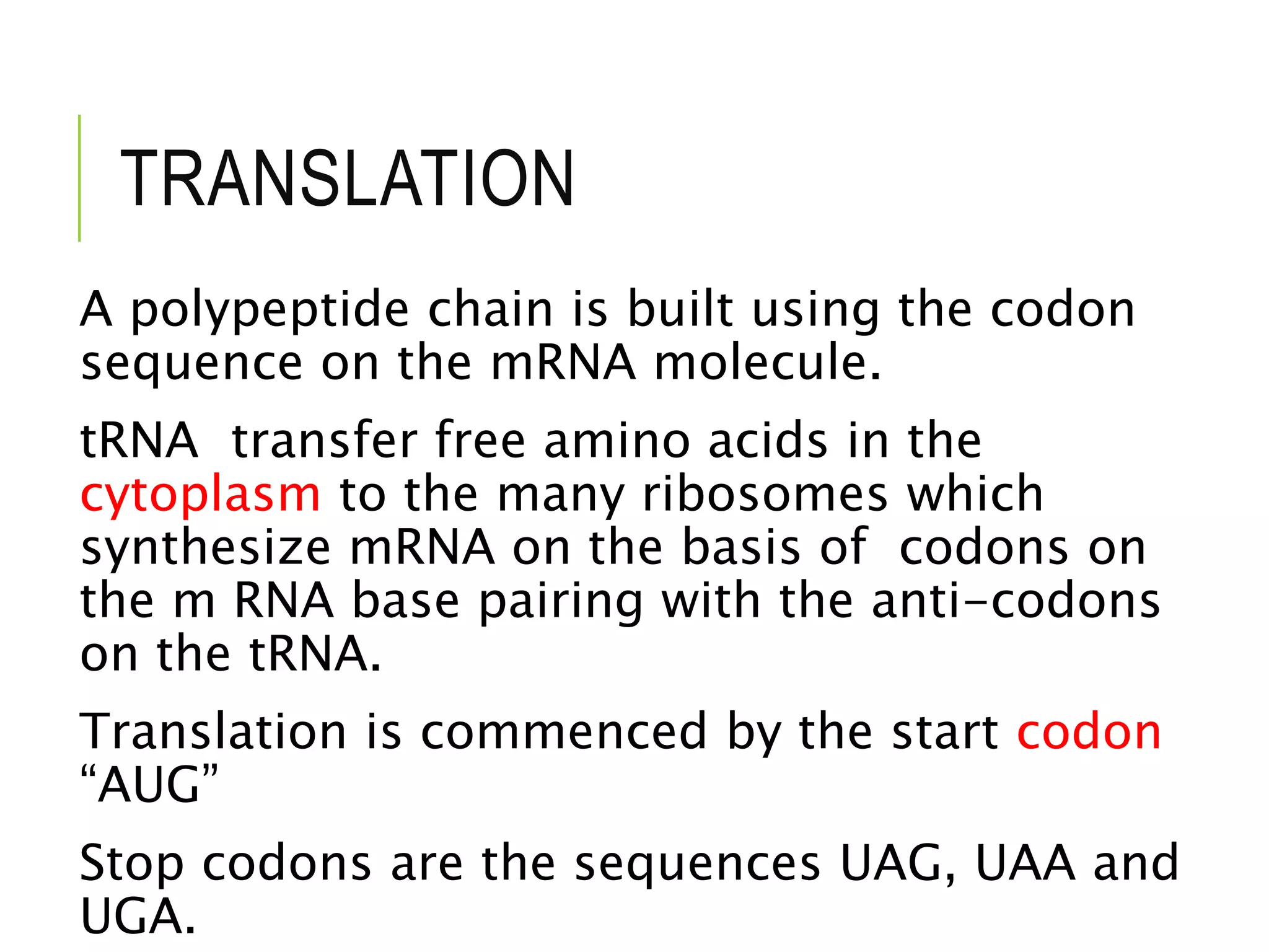 Dna and protein synthesis | PPTX