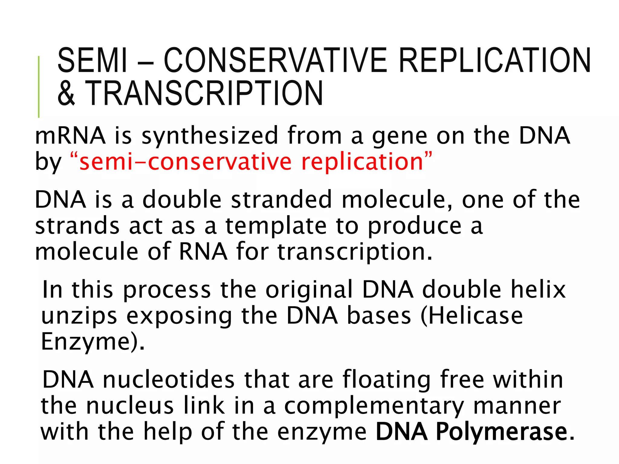 Dna and protein synthesis | PPTX