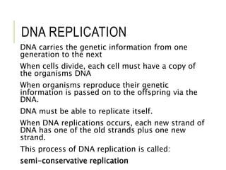 Dna and protein synthesis | PPT
