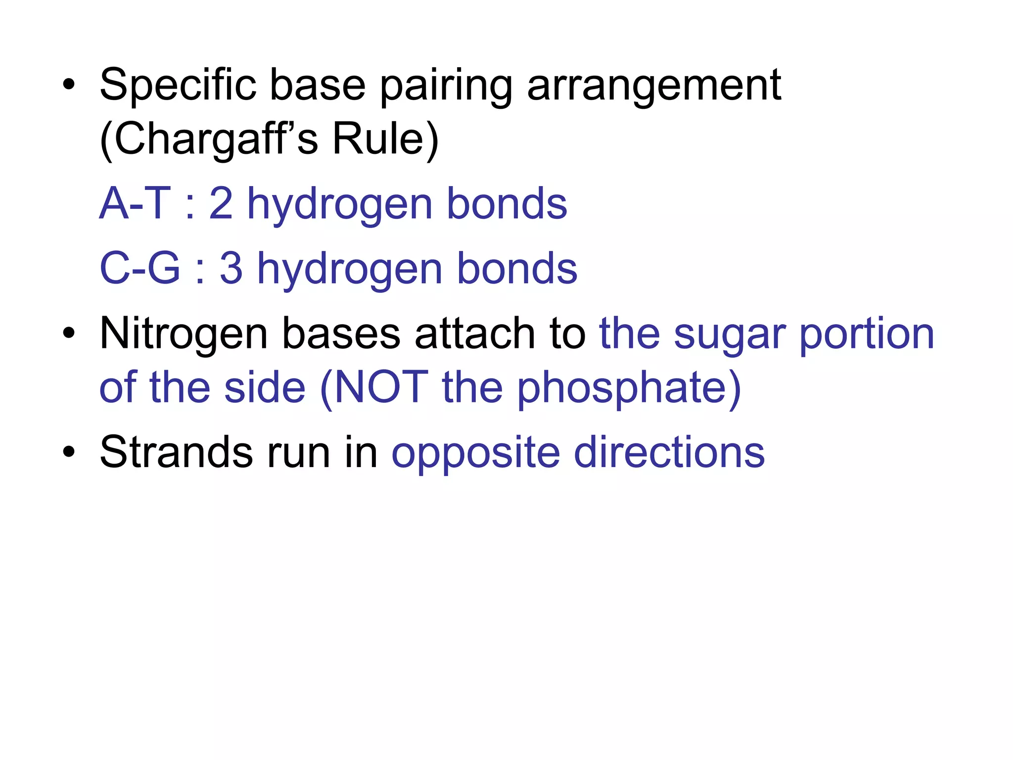 DNA and Protein Synthesis | PPT